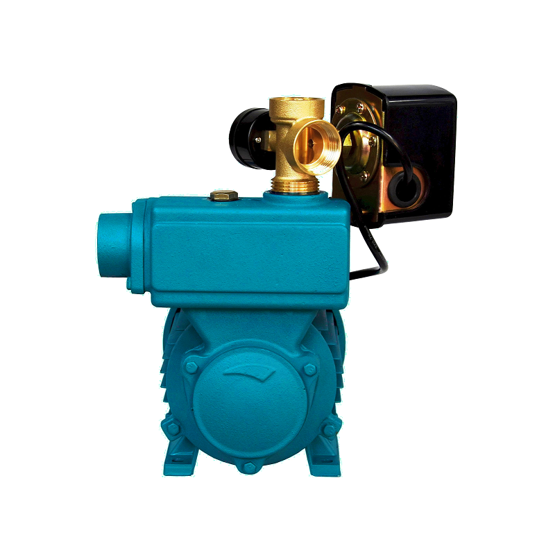 Pompa hydroforowa WZI 750 230 V IBO z osprzętem